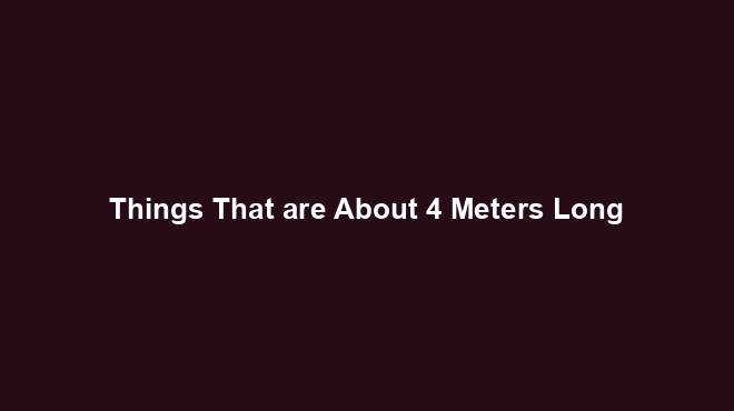 Things That are About 4 Meters Long - Dimension Discovery