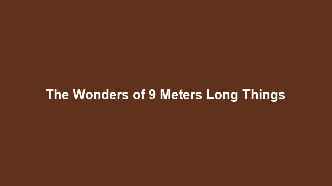 The Wonders of 9 Meters Long Things - Dimension Discovery