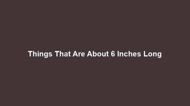 Things That Are About 6 Inches Long - Dimension Discovery