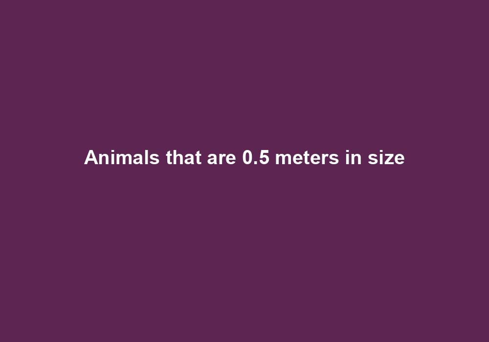 Animals that are 0.5 meters in size - Dimension Discovery
