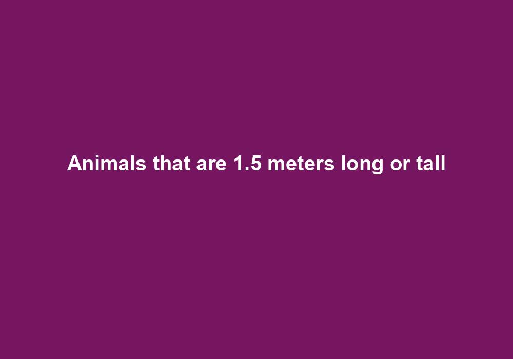Animals that are 1.5 meters long or tall - Dimension Discovery