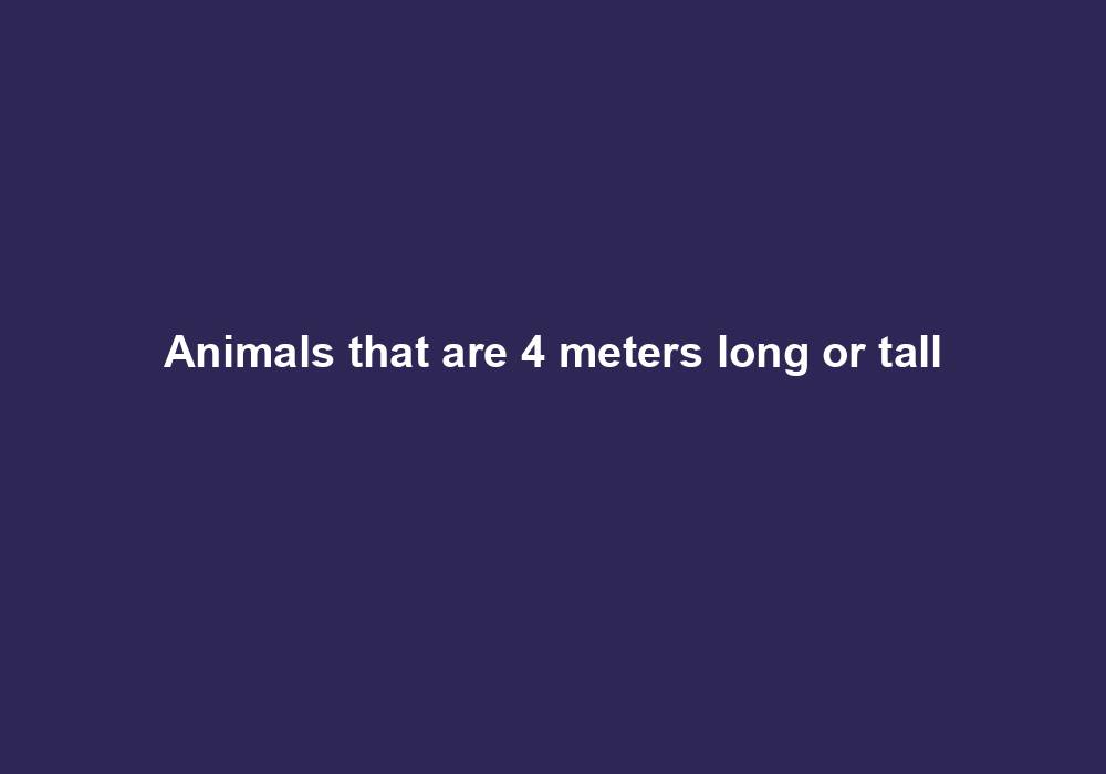 Animals that are 4 meters long or tall - Dimension Discovery