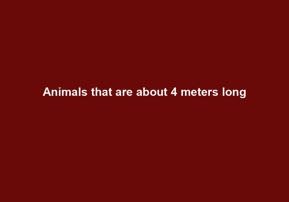 Animals that are about 4 meters long - Dimension Discovery