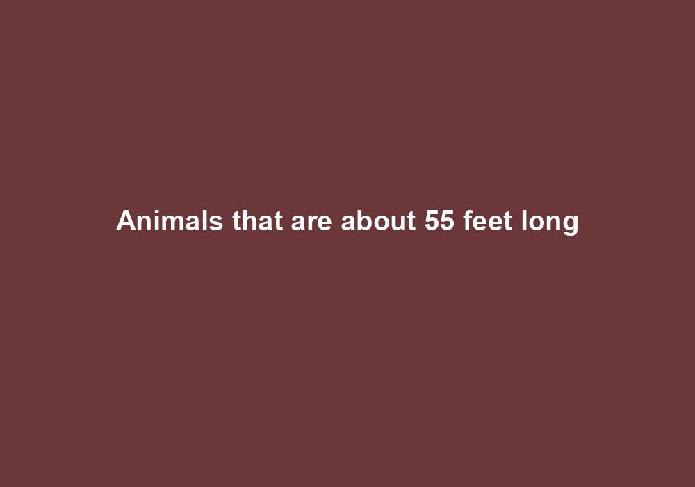 Animals that are about 55 feet long - Dimension Discovery