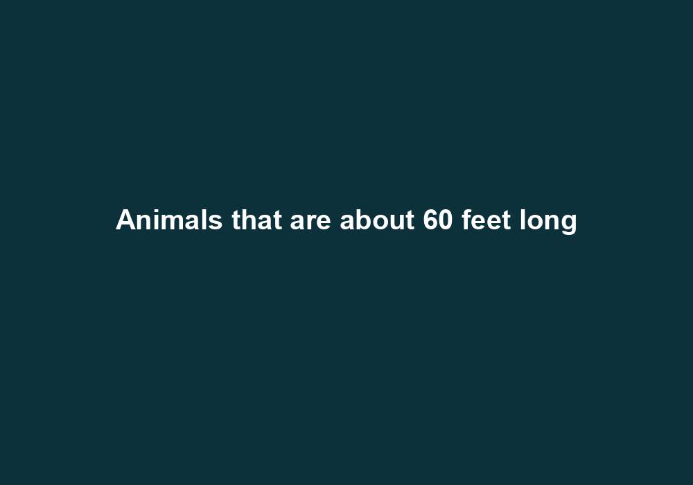 Animals that are about 60 feet long - Dimension Discovery